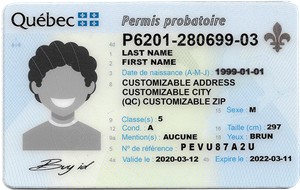 The Best Fake ID And Fake Driver's License Online Shop(50+ states ...